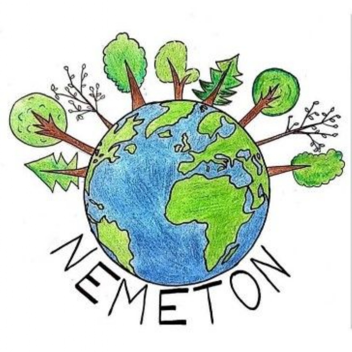 Devonport High School For Girls - DHSG's Young Enterprise team 'Nemeton ...