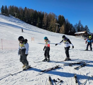 Devonport High School for Girls - Home