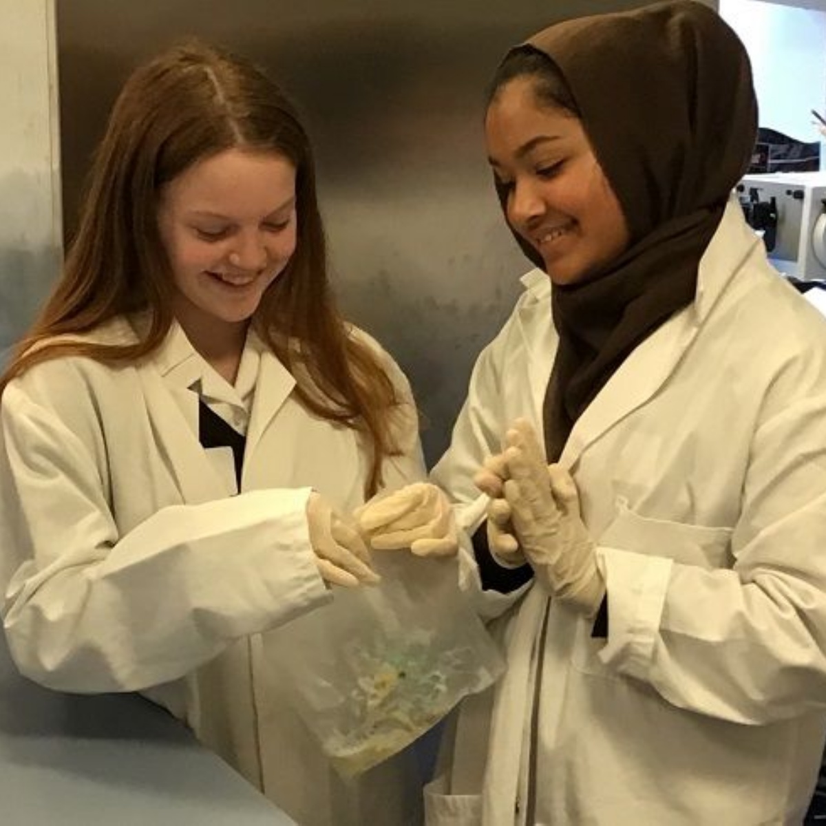 Devonport High School For Girls - So Cool Science